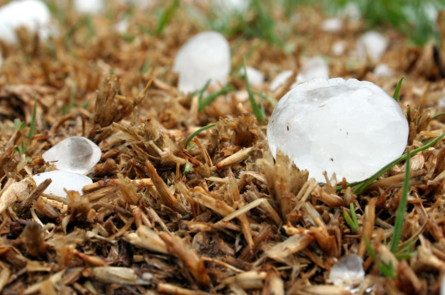 HAIL CLIMATOLOGY FOR CANADA: AN UPDATE - CatIQ