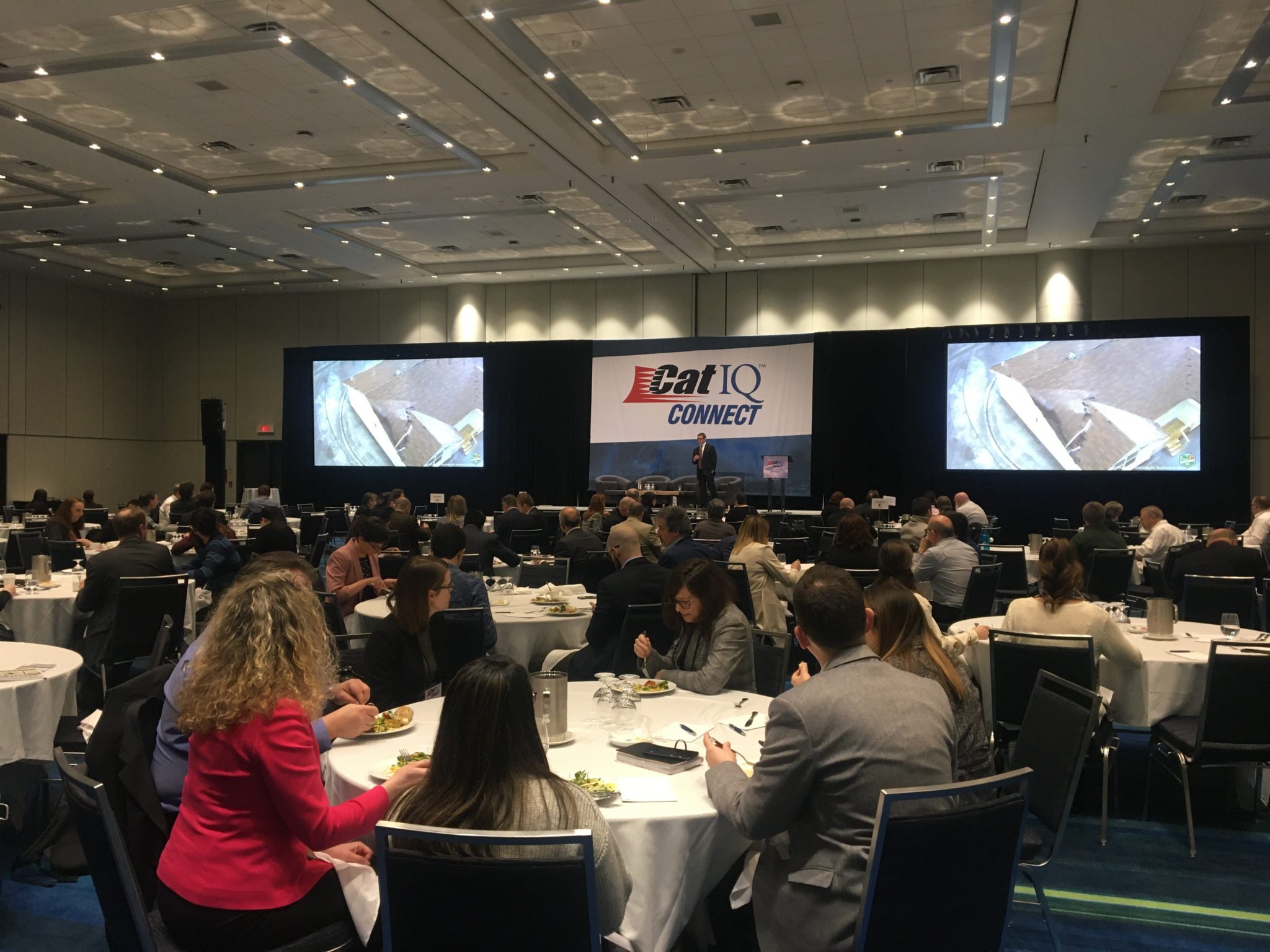 CatIQ Connect Archives - CatIQ